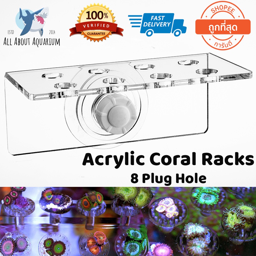 Marine Sources Coral Bracket Racks 8 PCS. ตะแกรงวางแฟรกปะการัง จุดยาง ...