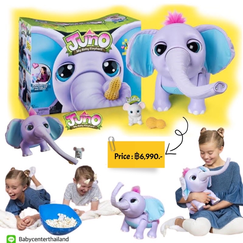 ช้างแสนรู้ Juno My Baby Elephant เหมือนจิง ตัวใหญ่ ทำได้หลายอย่าง ...