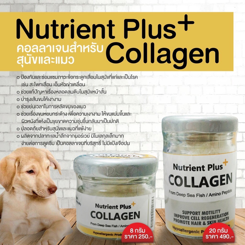 NUTRIENT PLUS COLLAGEN อาหารเสริม คอลาเจน สำหรับสุนัขและแมว ลดการขนร่วงของเส้นขน 20กรัม | Shopee ...