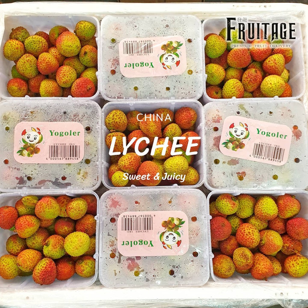 ลิ้นจี่สนมยิ้ม Lychee (CHINA) (ยกลัง/9แพค) ~ลดพิเศษ~ PREMIUM ลิ้นจี่เฟย ...