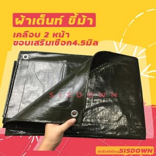 pe2 ราคาพิเศษ | ซื้อออนไลน์ที่ Shopee ส่งฟรี*ทั่วไทย!