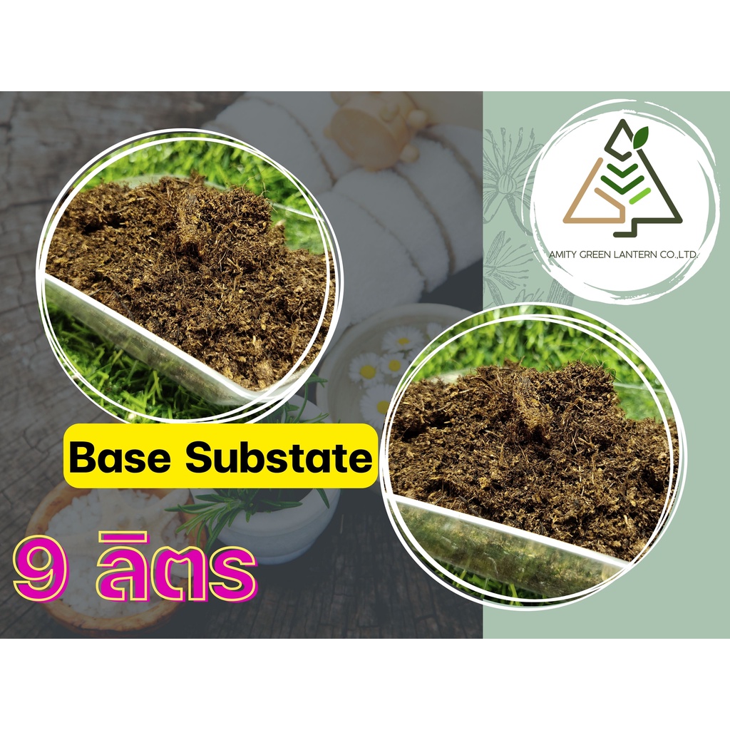 3 กก./9 ลิตร พีทมอส (Peatmoss)/เบสซัพเทรด (Base Substrate) | Shopee Thailand