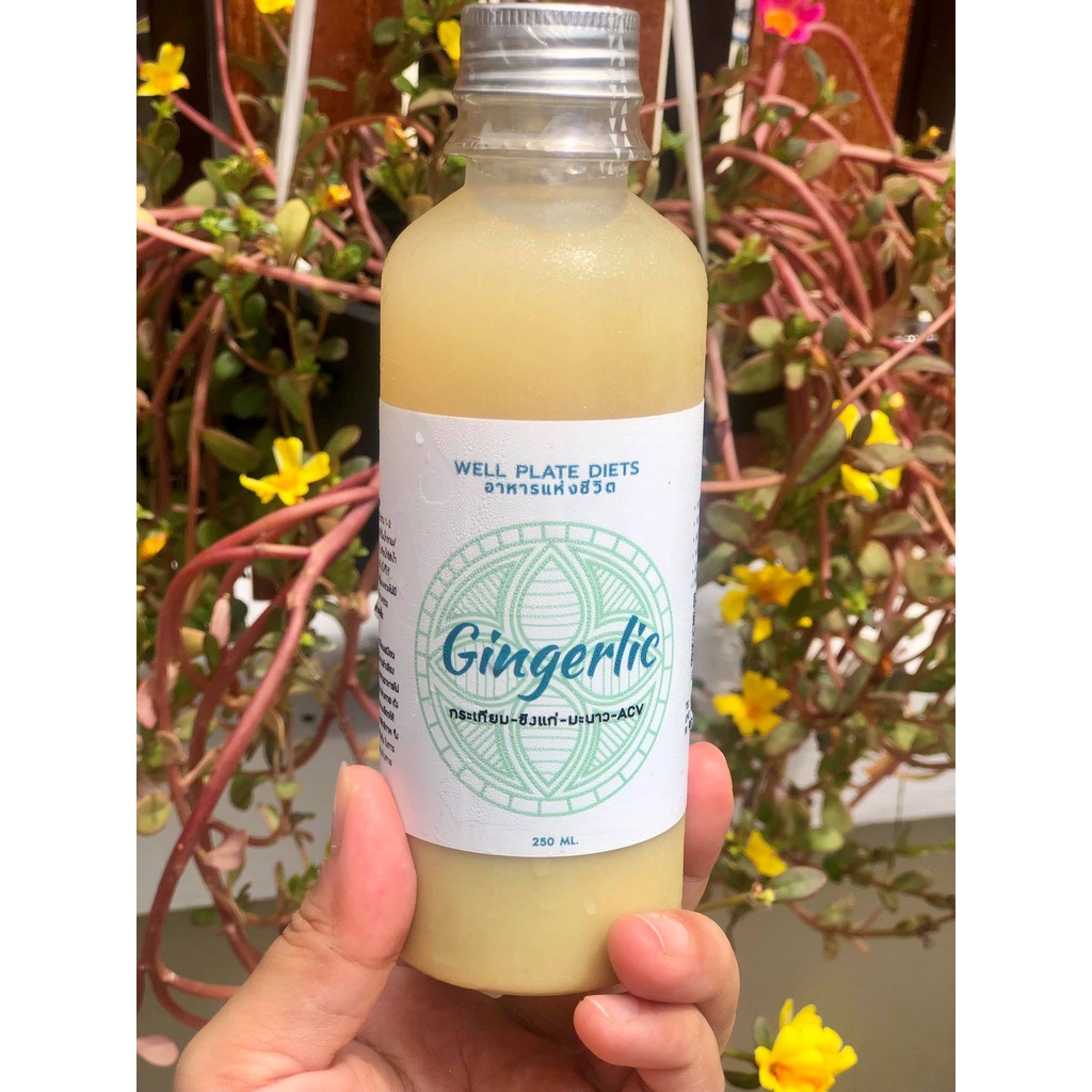 น้ำสกัดกระเทียมขิง Gingerlic สูตรทะลวงหลอดเลือด | Shopee Thailand