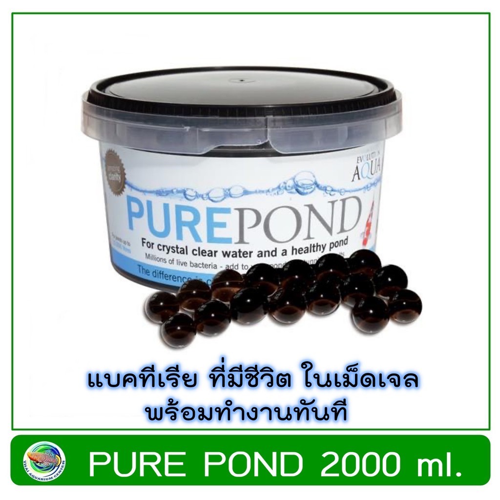 Pure Pond แบคทีเรีย ที่มีชีวิตในเม็ดเจล ช่วยบำบัดน้ำ ระบบกรองน้ำบ่อปลา Nitrifying Bacteria ขนาด ...