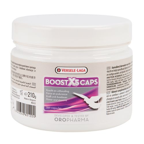 Boost X5 ชนิดเม็ด เพื่อความแข็งแรง แข็งแกร่งของกล้ามเนื้อไก่ชน พร้อมสู้ ...