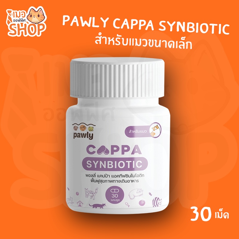 Pawly Cappa Synbiotic อาหารเสริม สำหรับแมว โปรไบโอติก ปรับสมดุลในระบบทางเดินอาหาร (1 กระปุก) มี ...