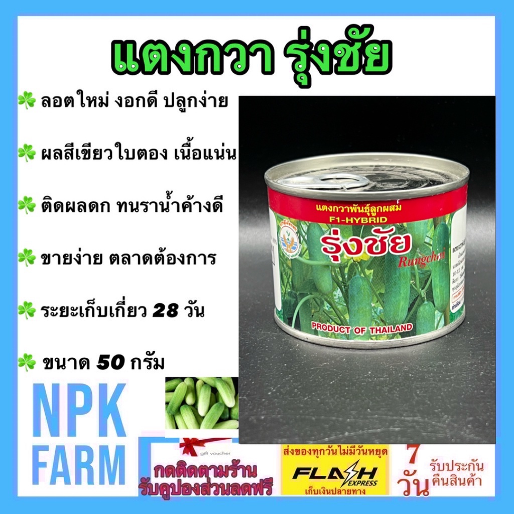 power seed แตงกวารุ่งชัย ขนาด 50 กรัม ผลสีเขียวใบตอง เนื้อแน่น น้ำหนักดี ทรงกระบอก ผลยาว 10-12 ...