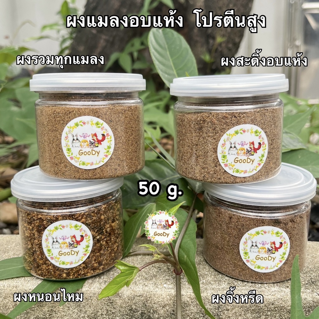 ผงแมลงอบแห้ง 50 กรัม/g. โปรตีนสูง Dried bugs powder. High protein for ...