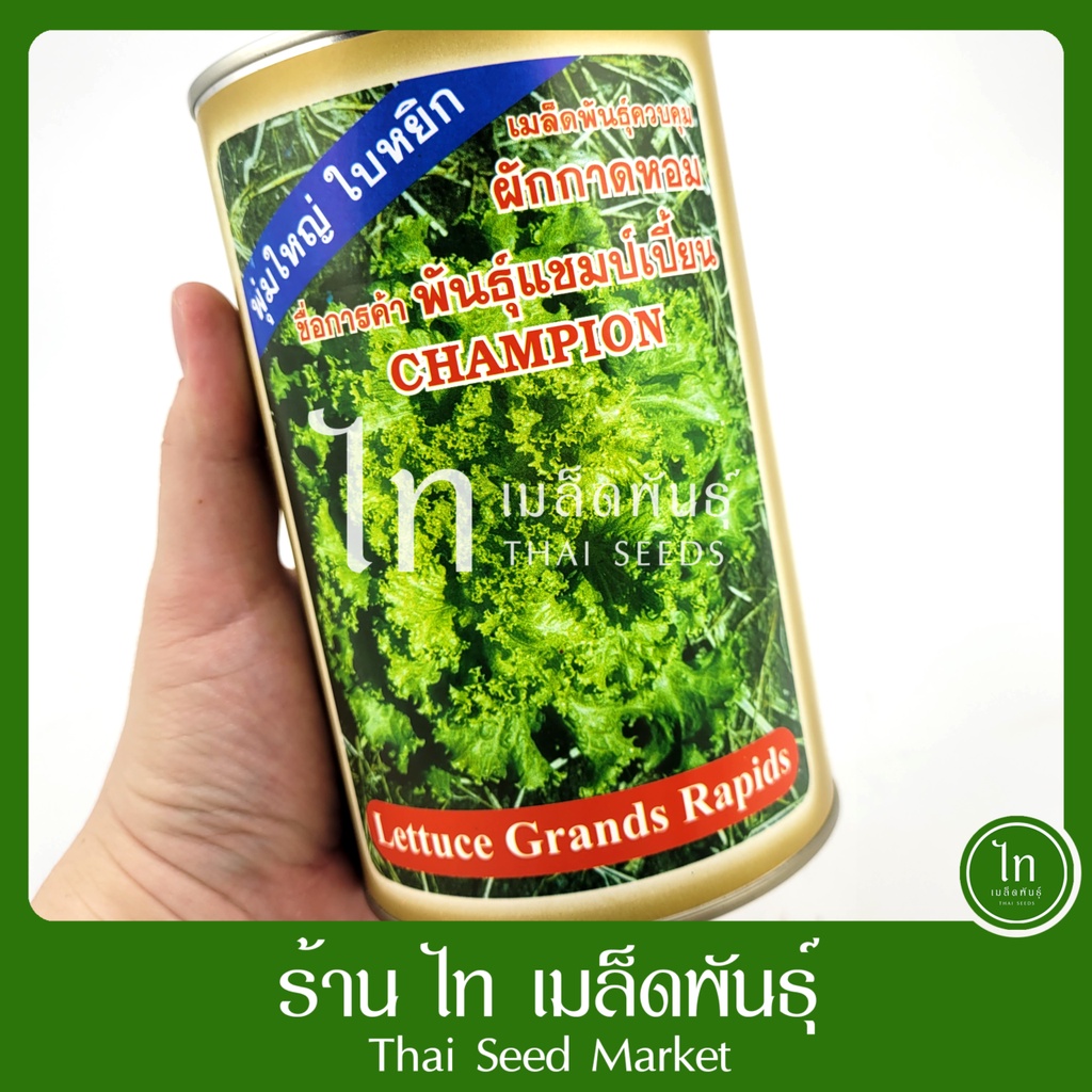 ผักกาดหอม แชมป์เปี้ยน แชมเปี้ยน เมล็ดพันธุ์ ผักกาดหอม ตรา 3A AAA บรรจุ ...