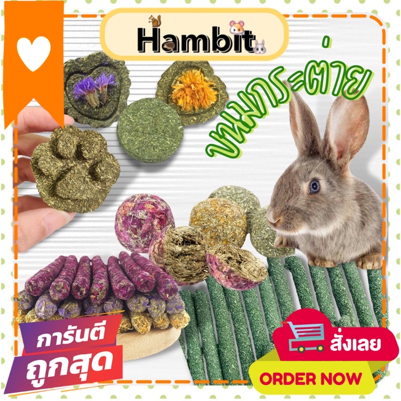 Hambit. ขนมกระต่าย อาหารกระต่าย หญ้าอัดแท่ง | Shopee Thailand