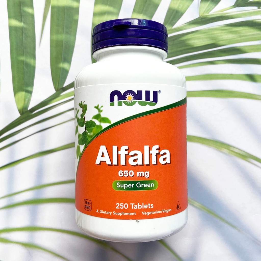 73% Sale!!! EXP. 11/2024 อัลฟัลฟา Alfalfa 650 mg 250 Tablets (Now Foods ...