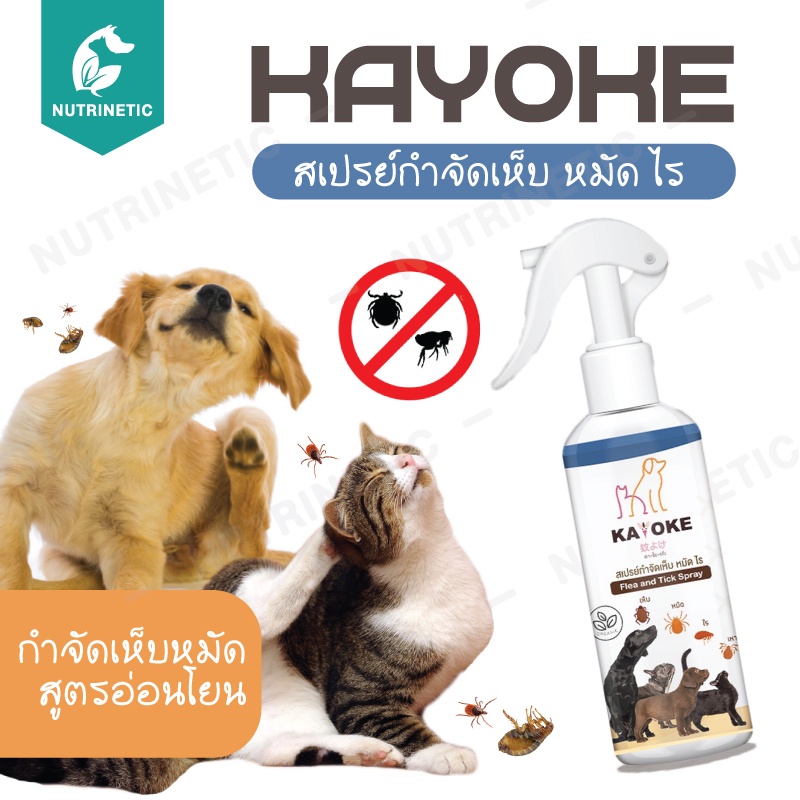 Kayoke Spray สเปรย์กำจัดเห็บหมัด สูตรอ่อนโยน จากสารสกัดธรรมชาติ 100% ...