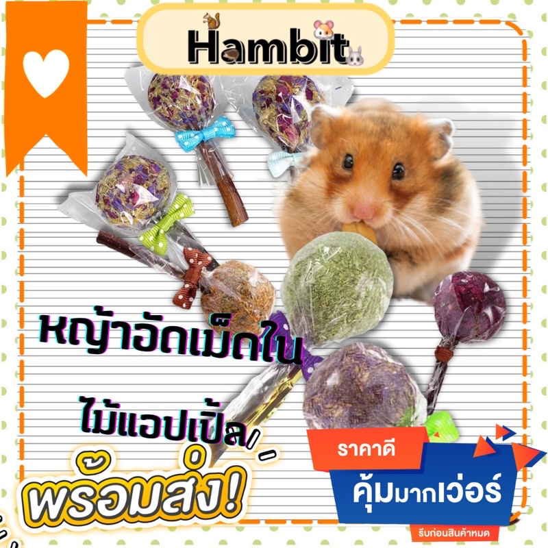 Hambit. อมยิ้มหญ้าแห้ง ขนมแฮมสเตอร์ ขนมกระต่าย ขัดฟันแฮมสเตอร์ ขัดฟัน ...