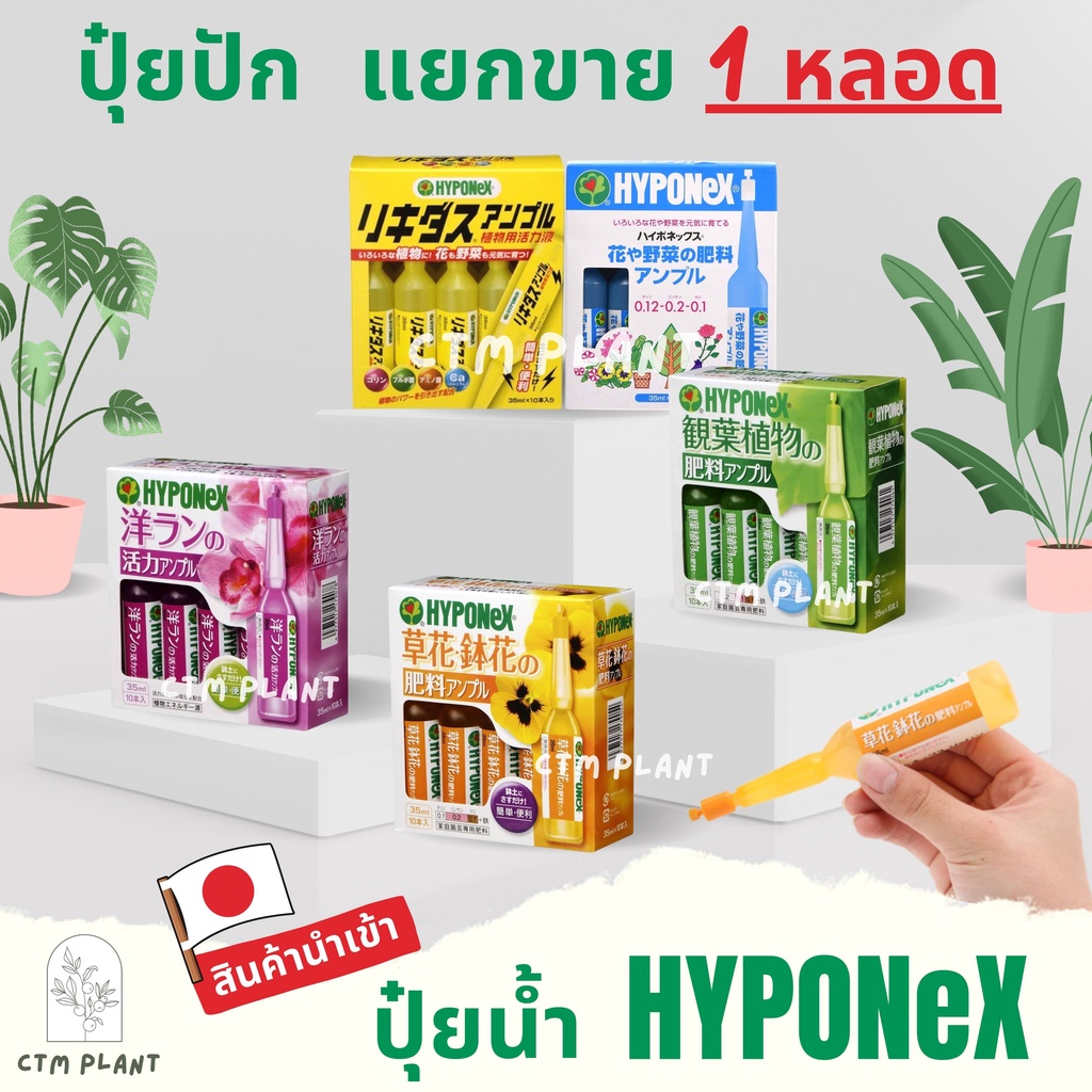 Hyponex ปุ๋ยปัก (Hyponex Ampoule) แยกขาย 1 หลอด ปุ๋ยน้ำจากประเทศญี่ปุ่น ปุ๋ยปักญี่ปุ่น | Shopee ...