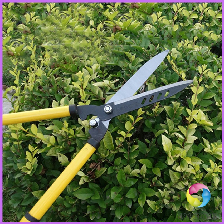 Eos Center กรรไกรตัดแต่งพุ่มไม้ กรรไกรตัดหญ้า กรรไกรแต่งสวน | Shopee ...