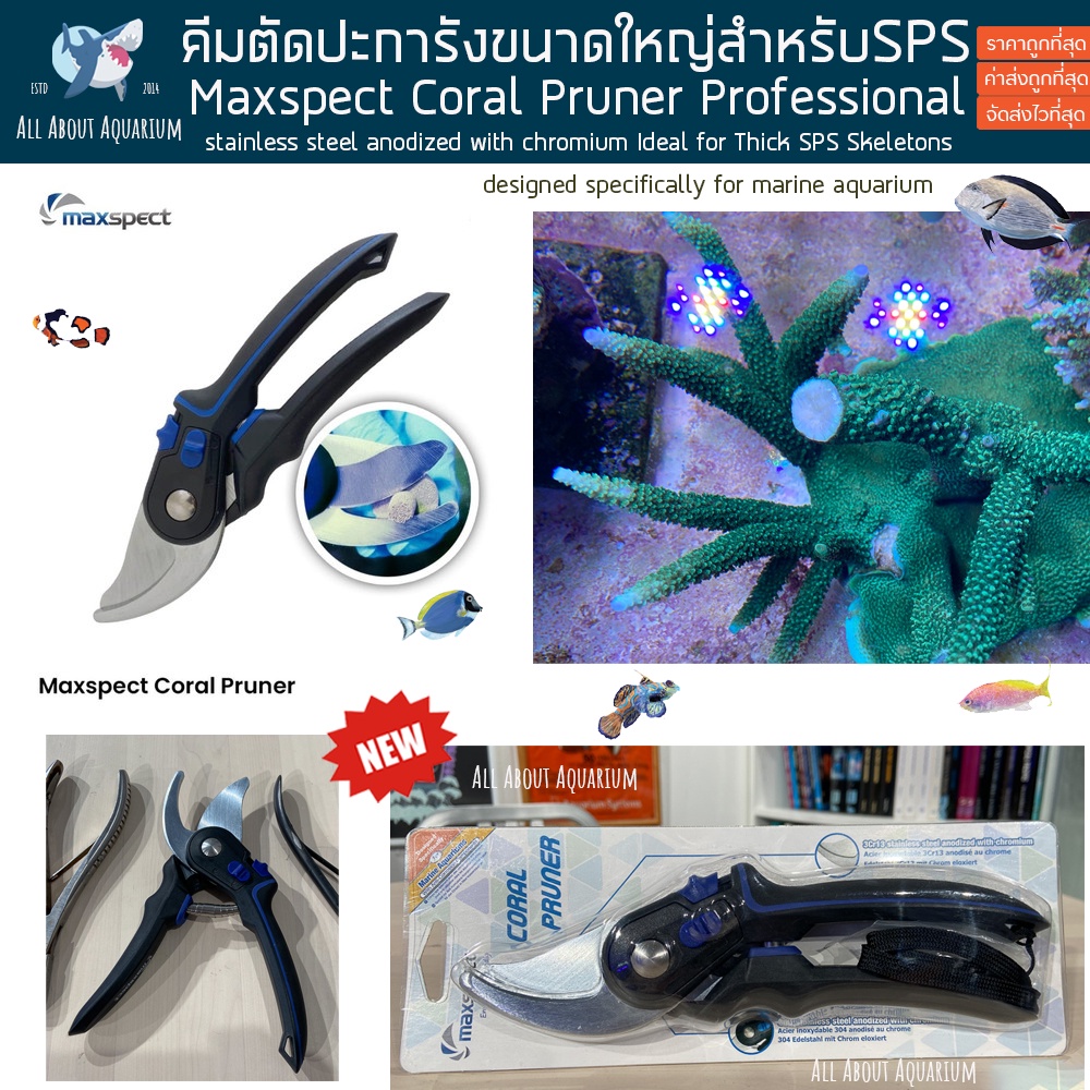 Maxspect Coral Pruner Professional Coral Tools คีมตัดปะการัง ใบมีดคม ...