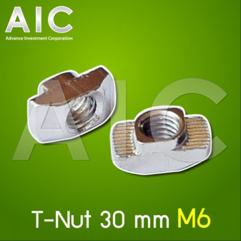 T-Nut 30 mm M6 Pack 10 | Shopee Thailand