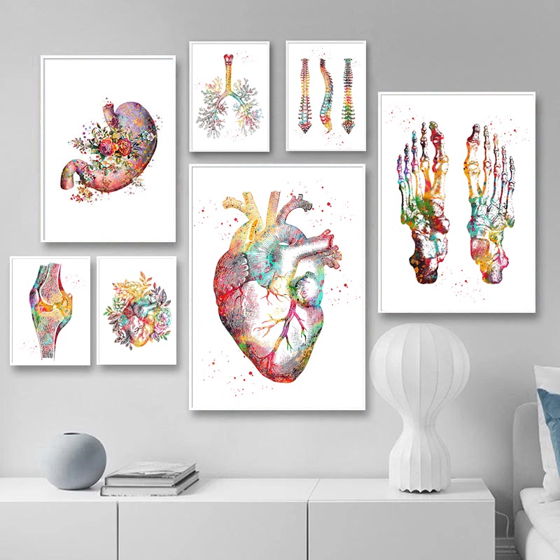 Body Wall รูปภาพการศึกษาทางการแพทย์พิมพ์กล้ามเนื้อมนุษย์ระบบ Wall Art ...
