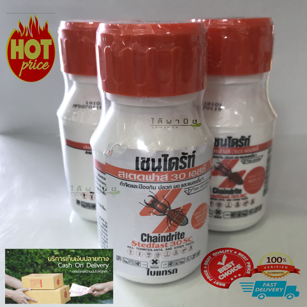 เชนไดร้ท์ สเตดฟาส 30 เอสซี 3X 250cc.น้ำยากำจัดปลวก ราดพื้นChaindrite ...