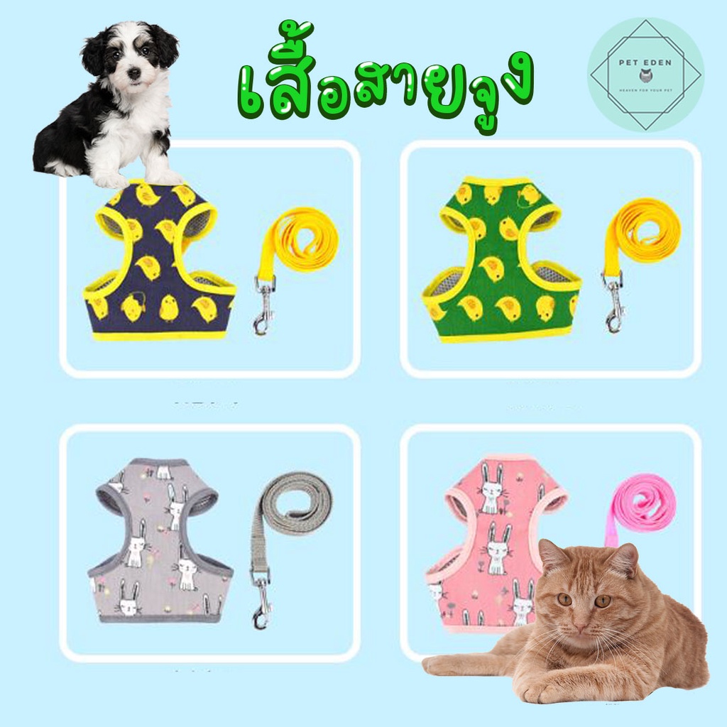 สายจูงสัตว์เลี้ยง สายจูงรัดอก Harness, Dot Harness Fancy Harness หมา ...