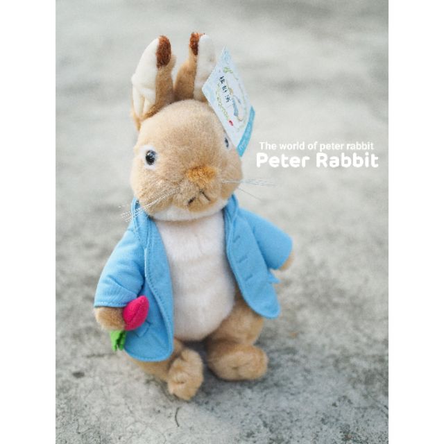 🐰 peter rabbit doll 🐰 | Shopee Thailand