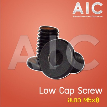 Low Cap Screw M5 ยาว 8-60mm สกรูหัวจมแบน @ AIC ผู้นำด้านอุปกรณ์ทางวิศวกรรม | Shopee Thailand