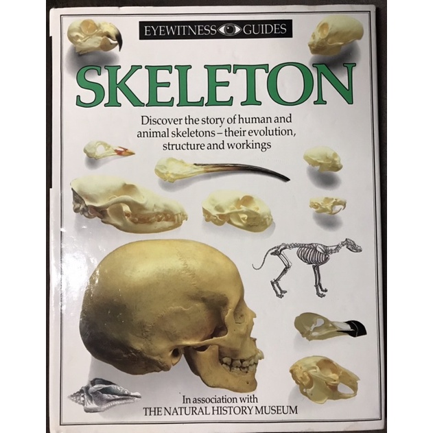 Eyewitness Skeleton[หนังสือความรู้ภาษาอังกฤษมือสอง] | Shopee Thailand