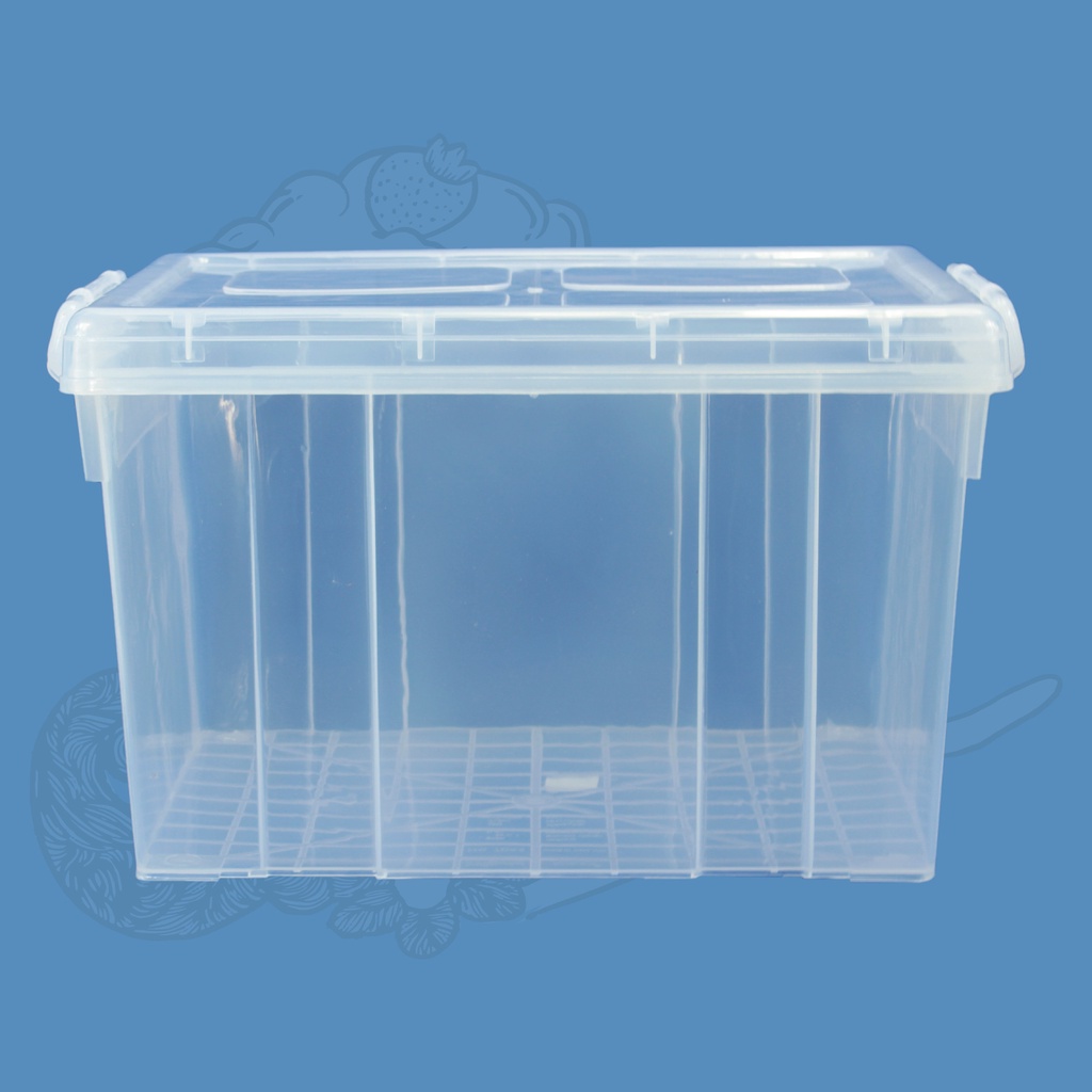 กล่องพลาสติกใส ฝาล็อค ขนาด กว้าง 43 X ยาว 30 X สูง 26 ซม Shopee Thailand