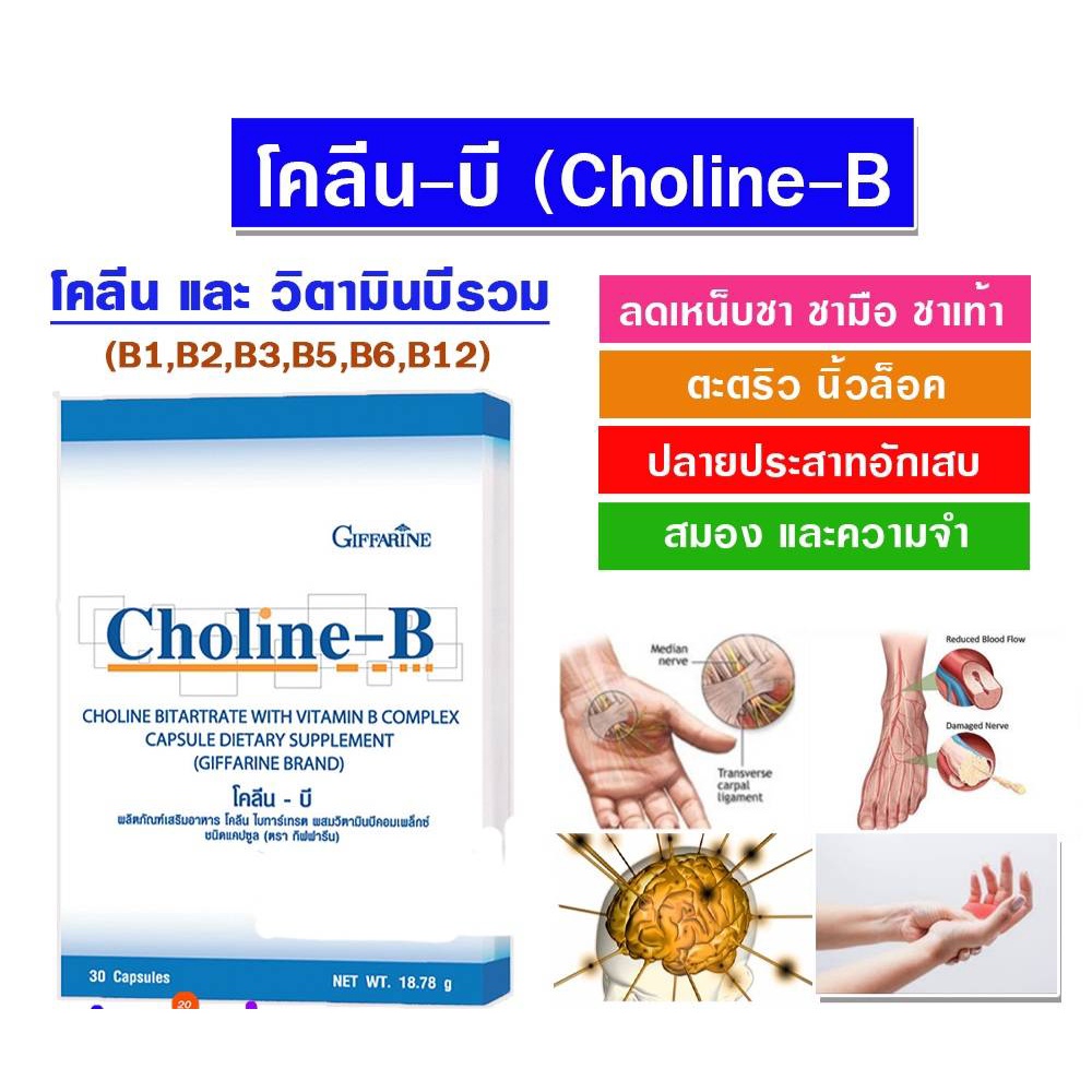 โคลีน - บี กิฟฟารีน Choline - B GIFFARINE ผลิตภัณฑ์เสริมอาหารโคลีน ผสม ...