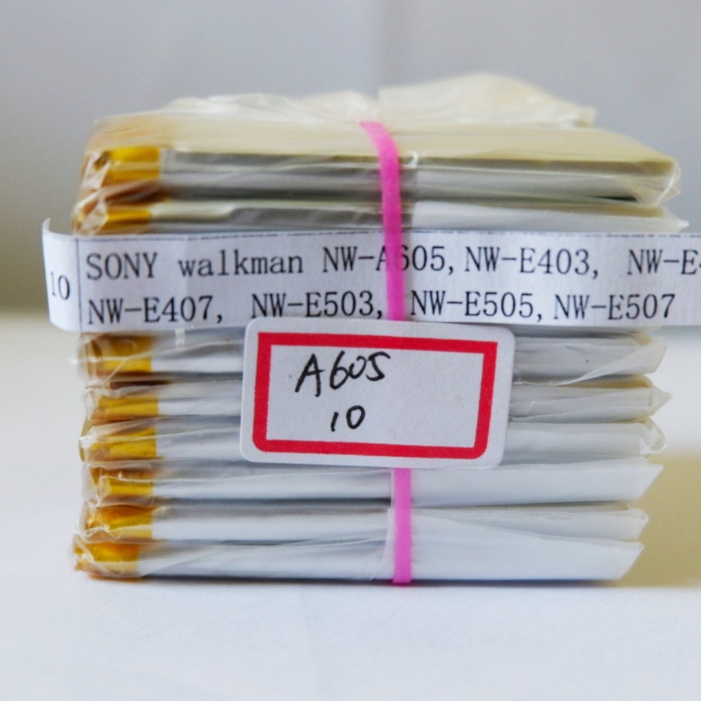 Sony Walkman NW-A605 NW-E403 NW-E405 NW-E407 NW-E503 NW-E505 NW-E507 ...