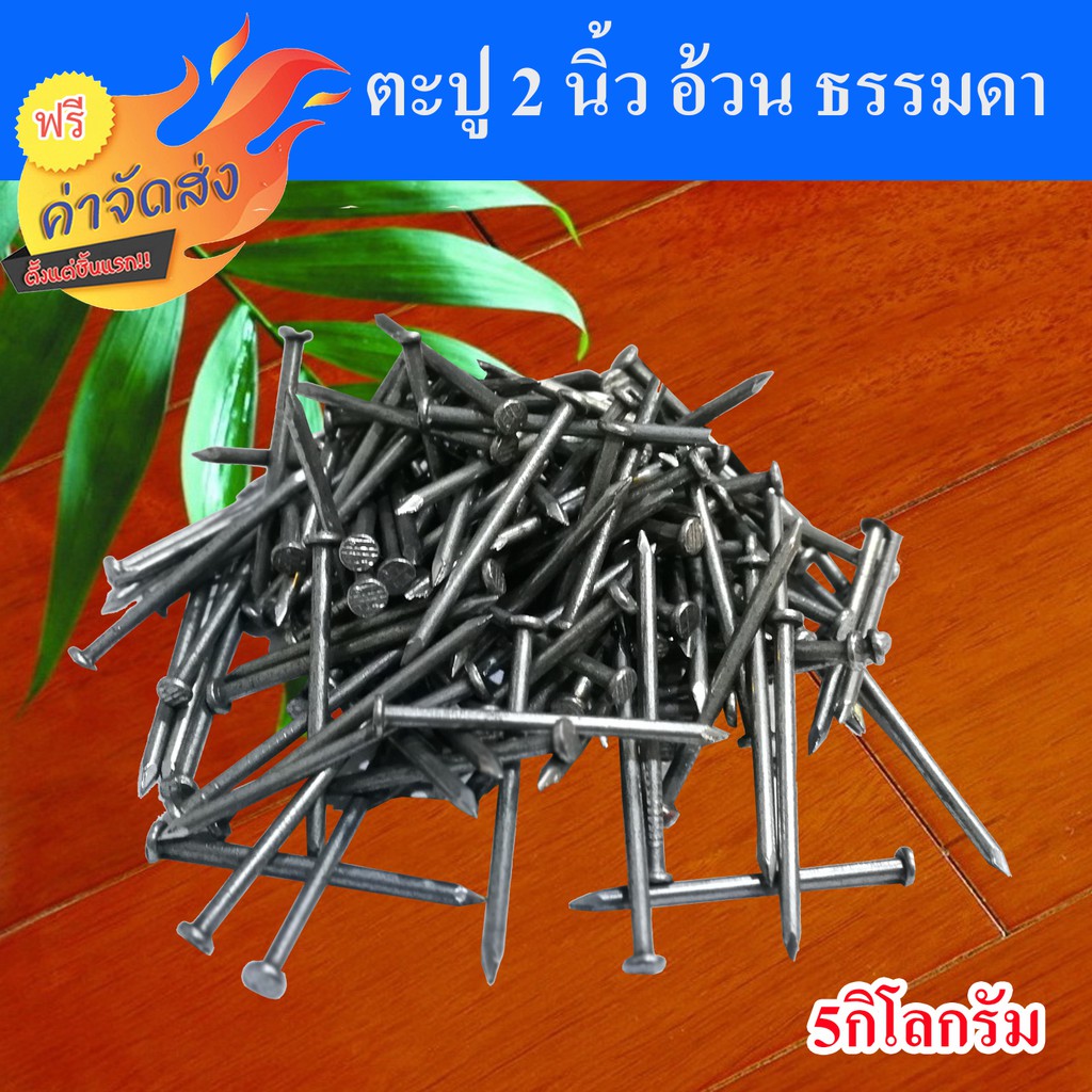 ตะปู ตะปูตอกไม้ ขนาด 2 นิ้ว จำนวน 5 กิโลกรัม | Shopee Thailand