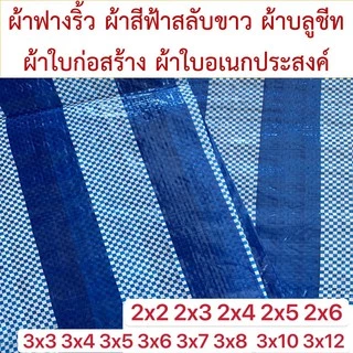 bluesheet ราคาพิเศษ | ซื้อออนไลน์ที่ Shopee ส่งฟรี*ทั่วไทย!