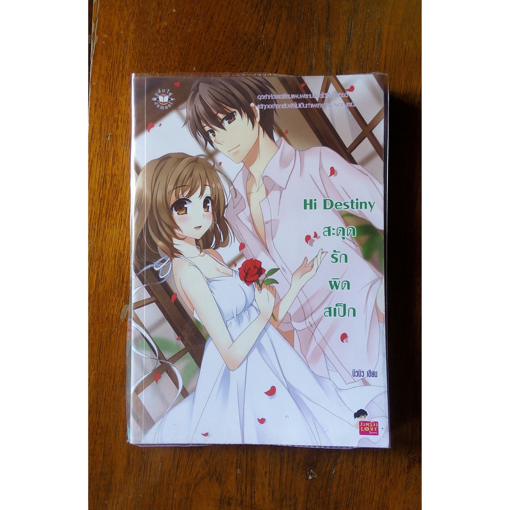Hi Destiny สะดุดรักผิดสเป็ก | Shopee Thailand