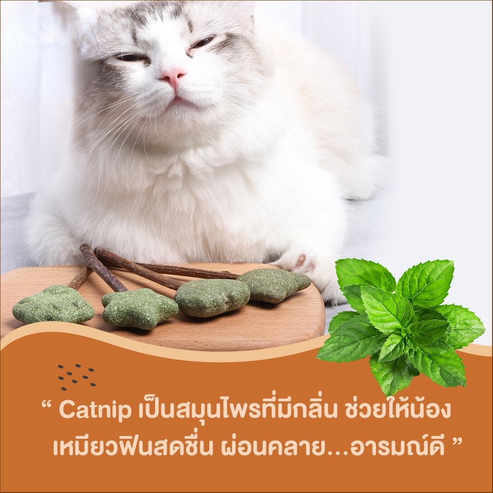 SKISOPGO ขนมแมวเลีย 2in1 Lollipop catnip อมยิ้มแมว มาทาบิ แคทนิปบอล รวมที่สุดของโปรดน้องแมว ขัด ...