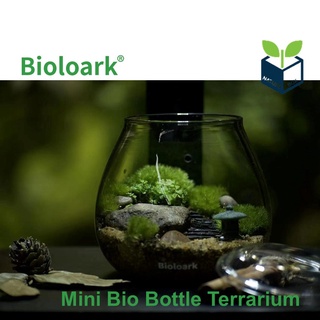 Bioloark Mini Bio Bottle Terrarium (Biolark) (มีสินค้าพร้อมส่ง ...