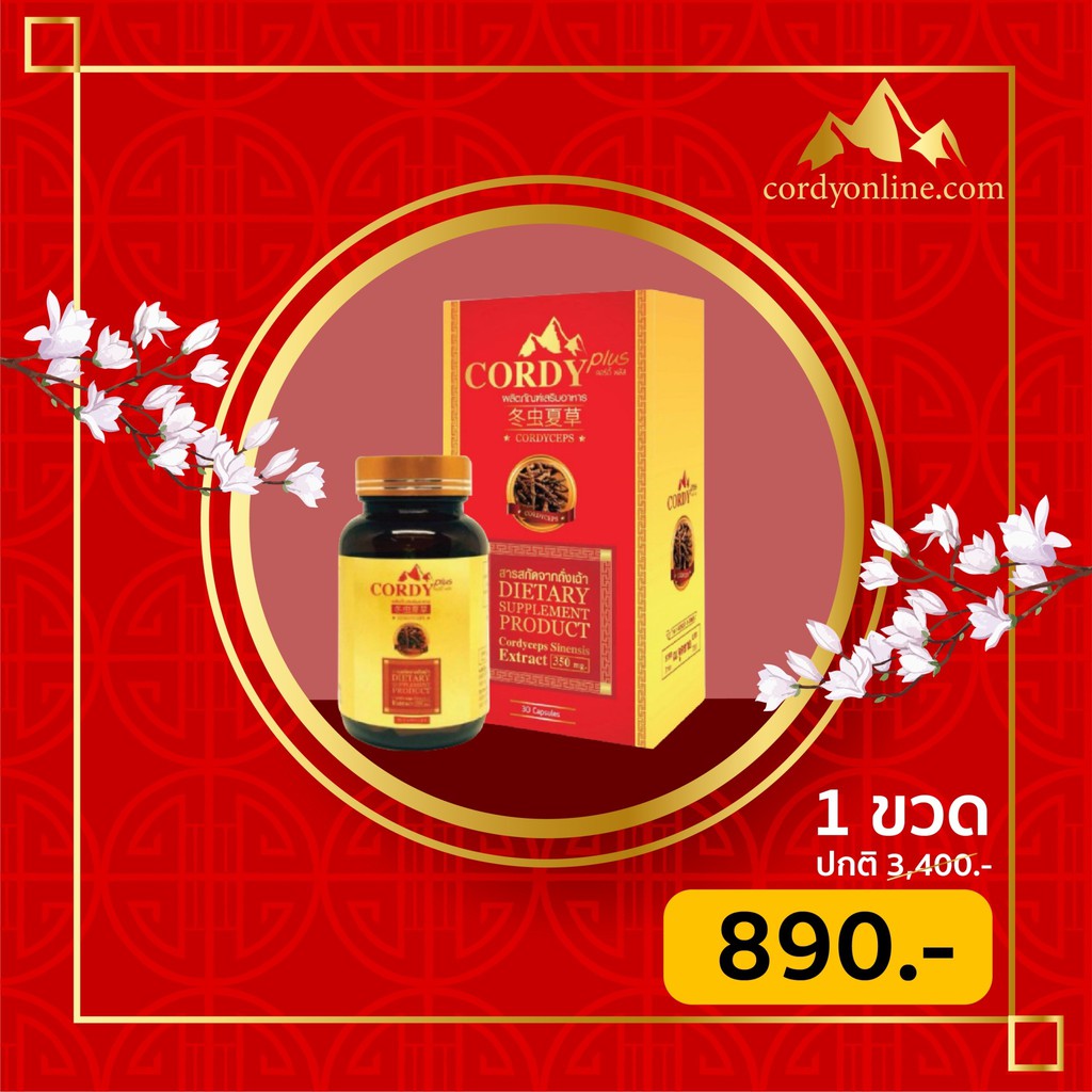พร้อมส่ง!! Cordy Plus คอร์ดี้ พลัส ถั่งเฉ้า อ.วิโรจน์ (1 กระปุก 30 ...