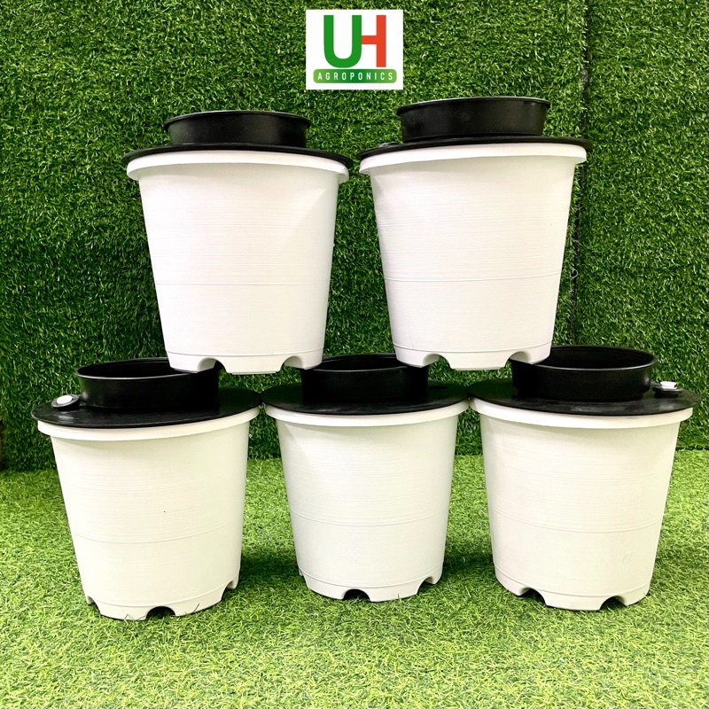 5 หน่วย PASU HYGROWPOT MINI PASU HYDROPONIK HYDROPONIC SET | Shopee ...