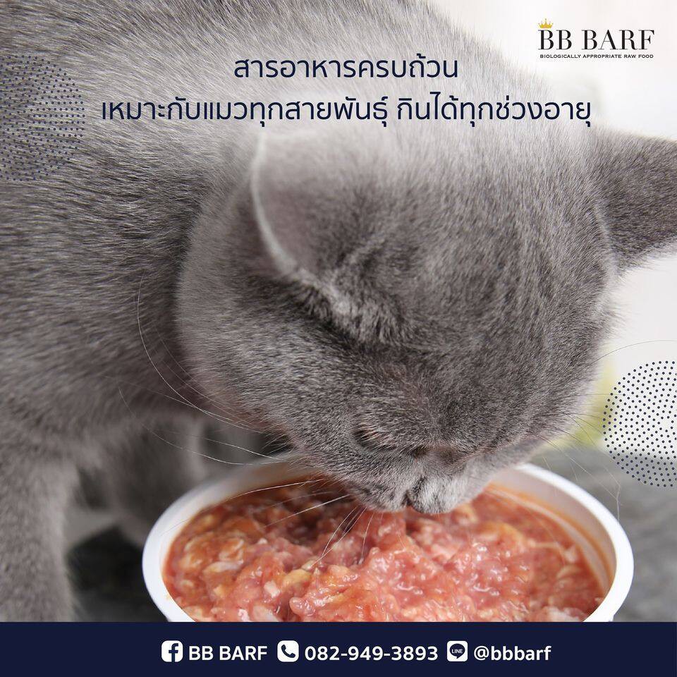 BB Barf cat food chicken อาหารบาร์ฟ อาหารสดดิบสำหรับแมว อาหารแมวแช่แข็ง ...