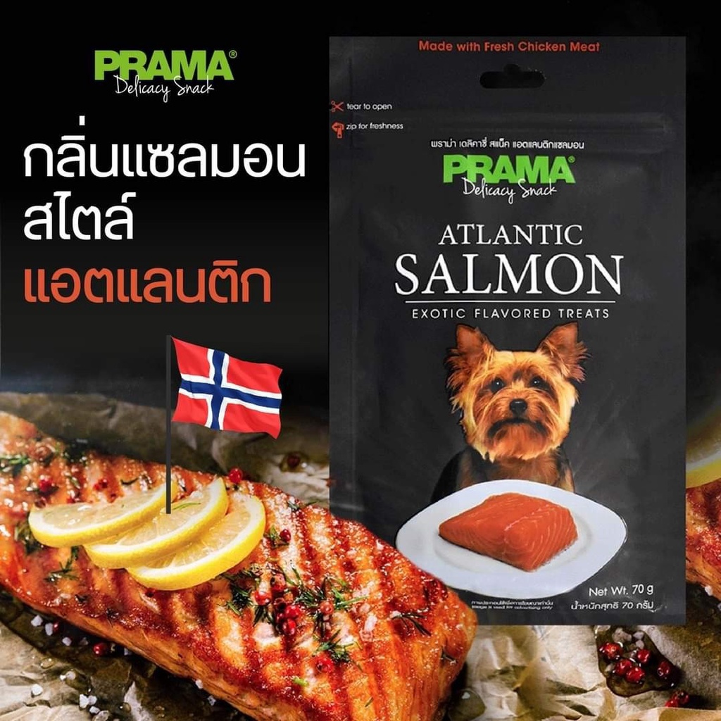 PRAMA Delicacy Snack Salmon ขนมสุนัข รสแซลมอนขนาด 70 G. | Shopee Thailand