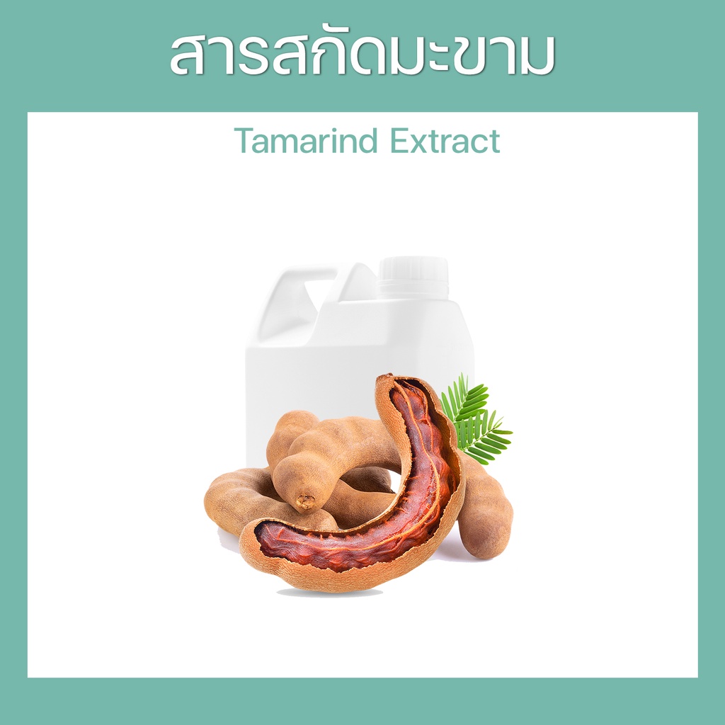 สารสกัดมะขาม Tamarind Extract ( Tamarindus indica fruit ) ชนิดน้ำ ...
