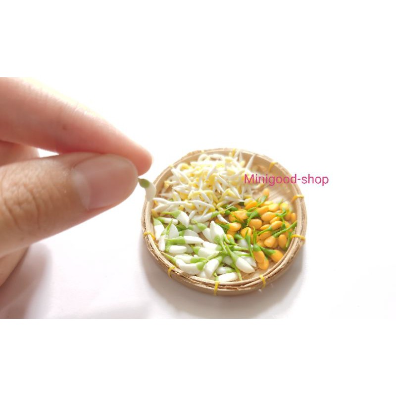 ผักจิ๋ว#ถั่วงอกจิ๋ว#ดอกแคจิ๋ว#ดอกโสนจิ๋ว #miniature vegetables สามารถเลือกแบบได้ราคาต่อชนิด ...
