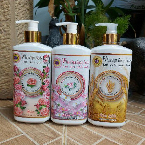 โลชั่นบำรุงผิว White Spa Body Lotion 500 กรัม by Mook Herbs | Shopee ...