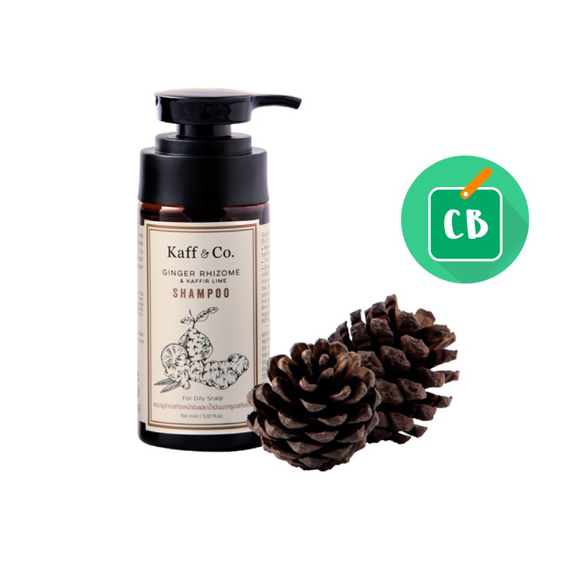 Kaff and Co – แชมพูสารสกัดเหง้าขิงและน้ำมันมะกรูดสกัดเย็น 150 ml | Shopee Thailand