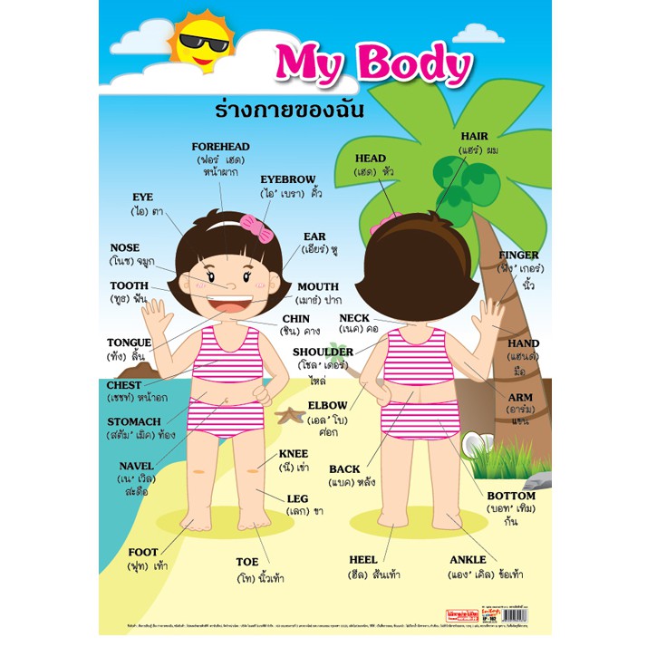 โปสเตอร์เรื่องร่างกายของฉัน My Body #EP-162 โปสเตอร์พลาสติก PP | Shopee ...