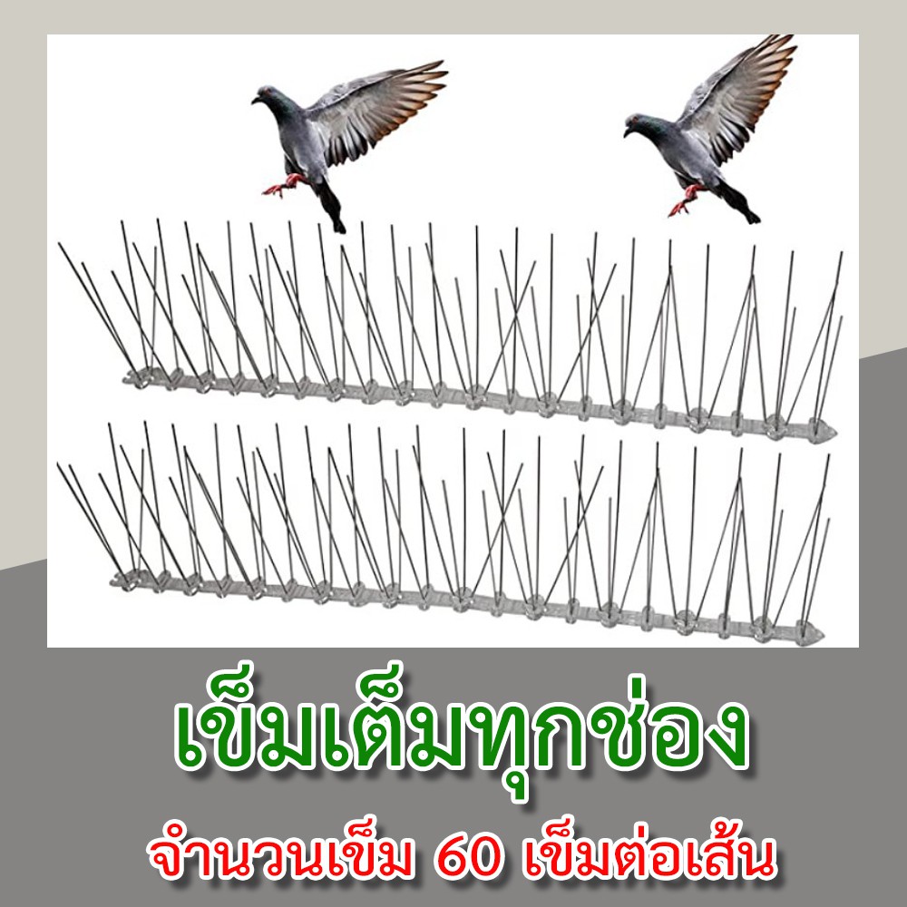 หนามกันนก รุ่นพิเศษ Bird spike หนามไล่นก เข็มเต็มทุกช่อง มากที่สุด ...