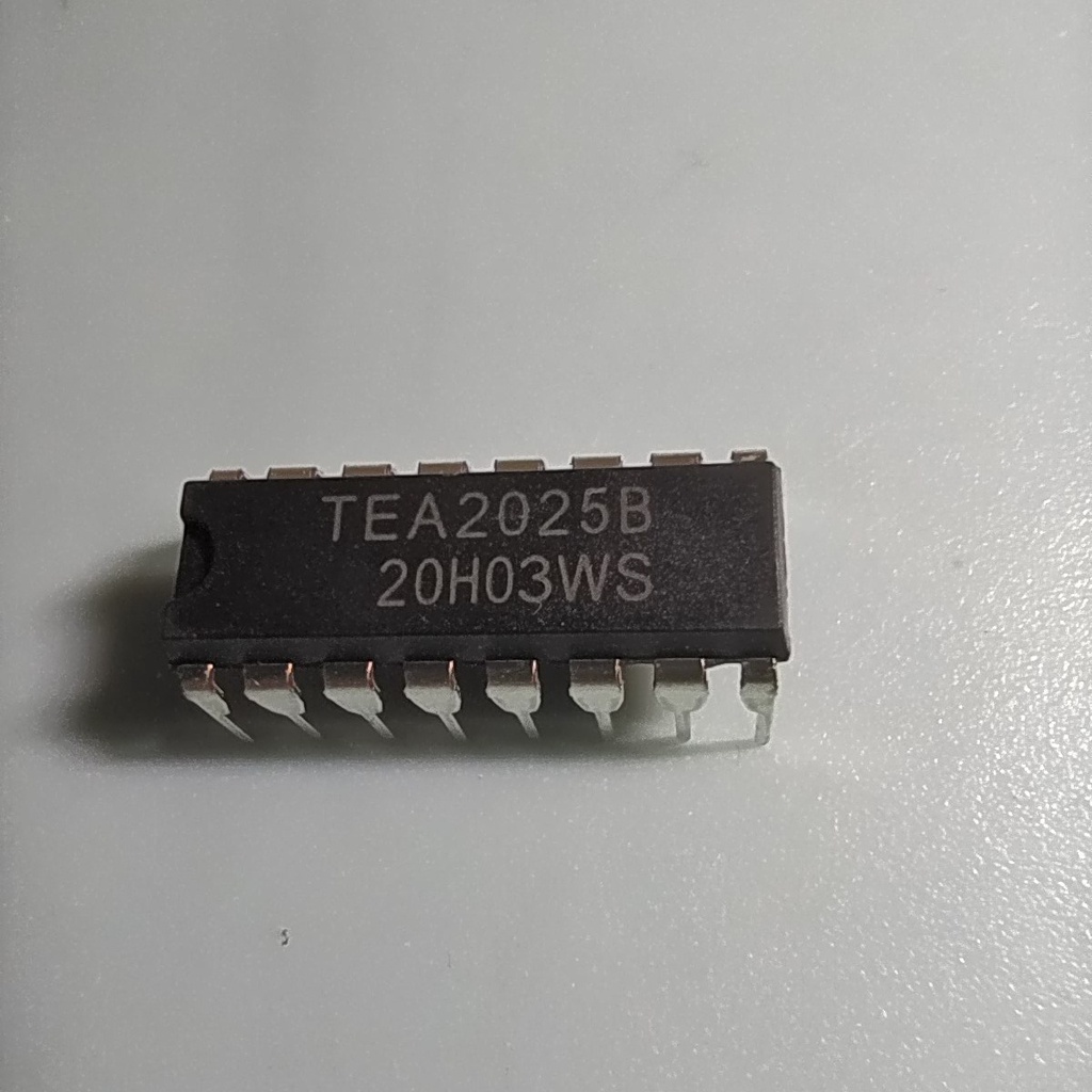 Tea2025B IC ลําโพงเครื่องขยายเสียงลําโพง | Shopee Thailand