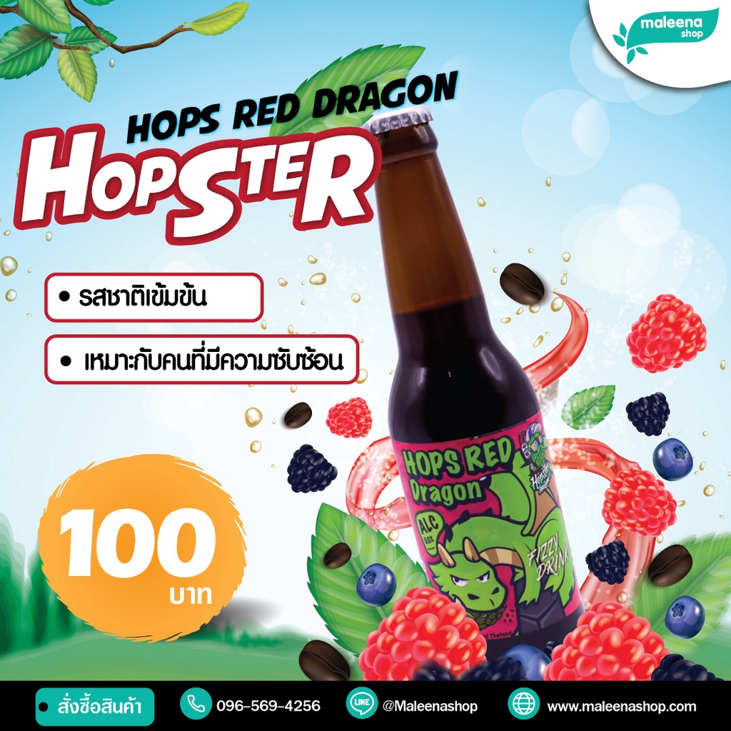 Hopster - เครื่องดื่มผลไม้อัดก๊าซไร้แอลกอฮอล์ | Shopee Thailand