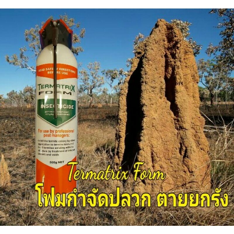 Termatrix Foam โฟมกำจัดปลวก ตายยกรัง ขนาด 500 กรัม | Shopee Thailand