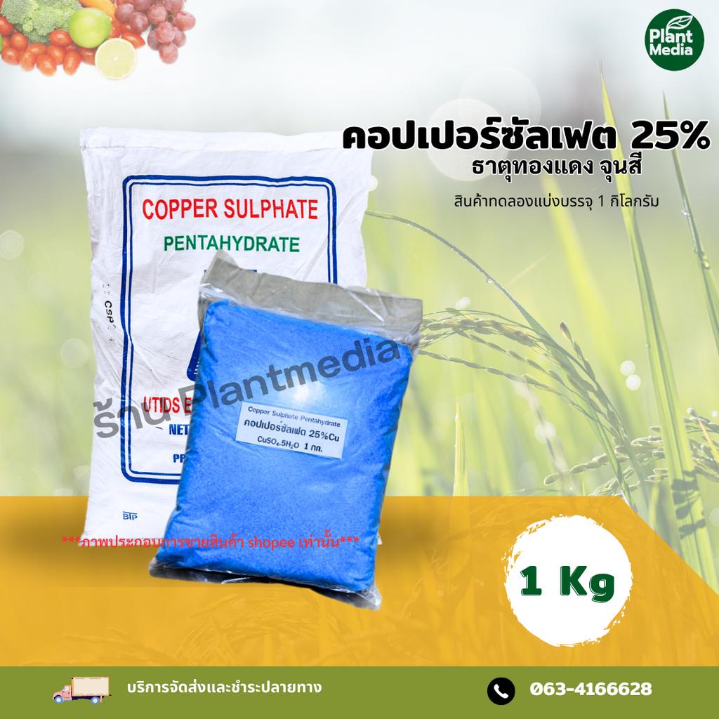 คอปเปอร์ซัลเฟต Copper Sulfate CuSO4.5H2O ธาตุทองแดง 25% จุนสี บรรจุ 1 ...
