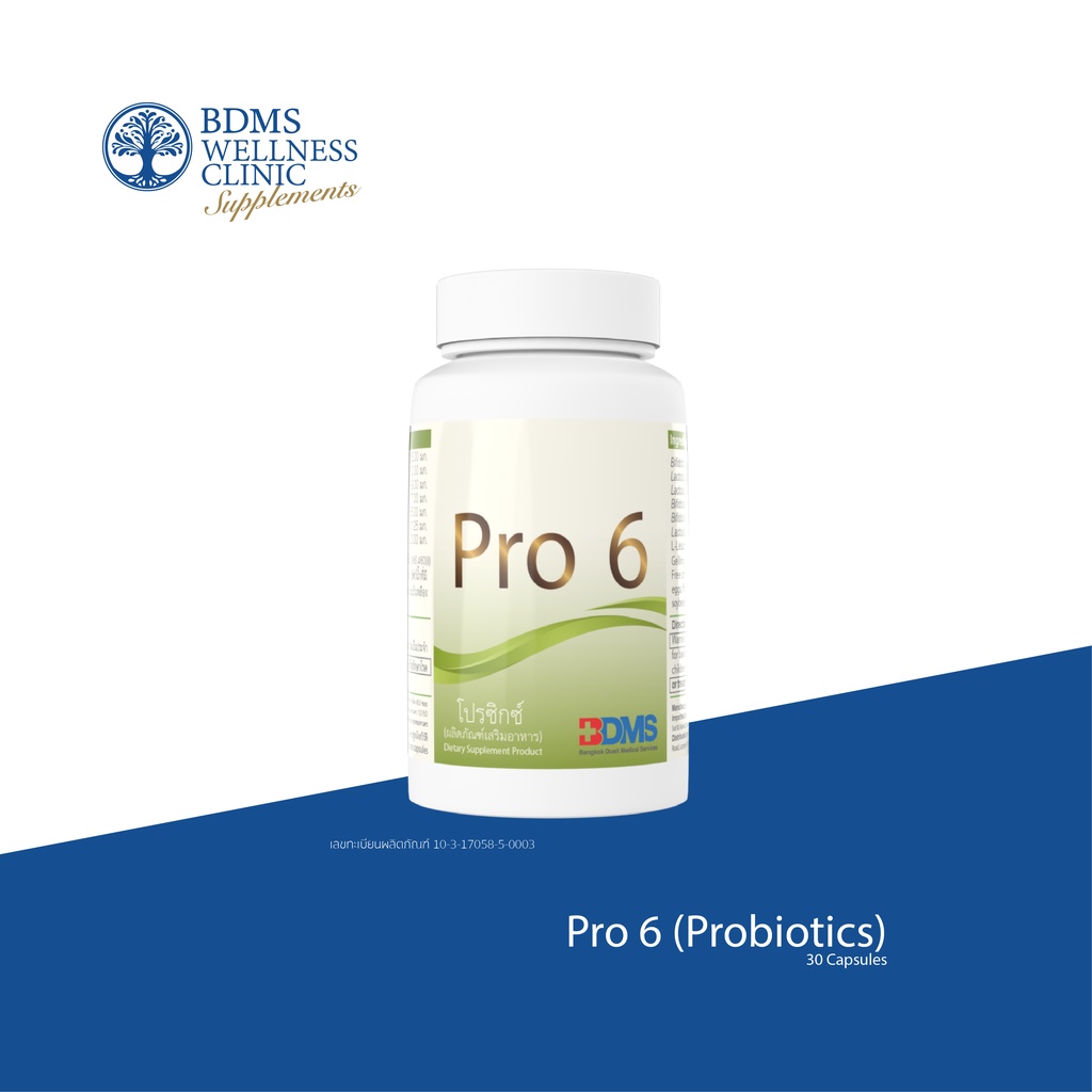 Pro6 (โพรไบโอติกส์) นำเข้าจากสหรัฐอเมริกา (30 แคปซูล) | Shopee Thailand